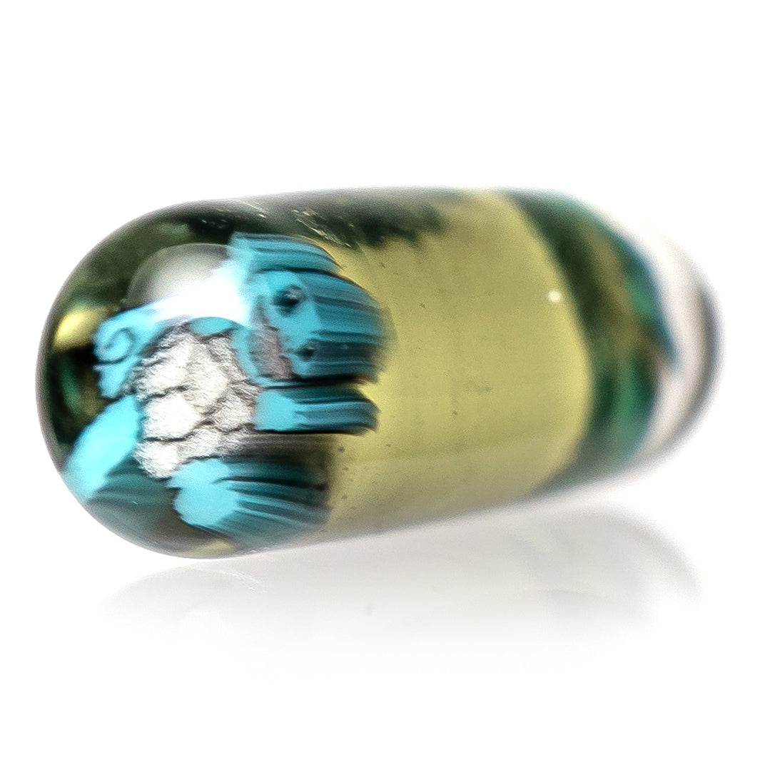 Steve H Glass - Artist Series Pillar - Squirtle - CFL Potion - The Cave